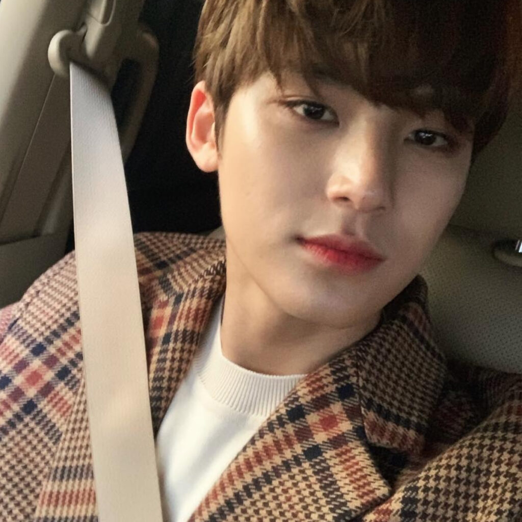 Celebrating the versatile visual king AKA SEVENTEEN’s Kim Mingyu | Chopal